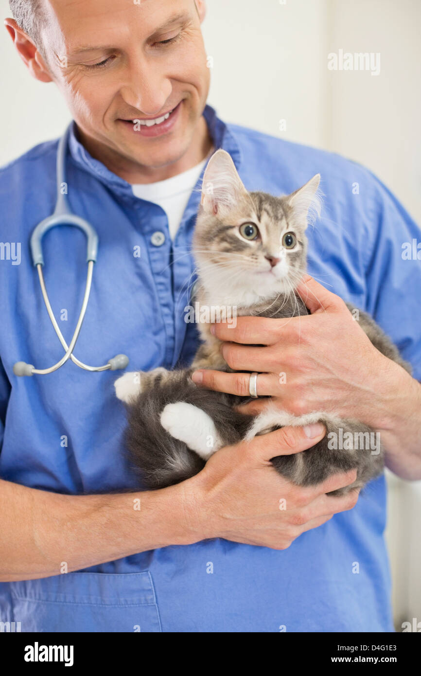 Cat full body hi-res stock photography and images - Alamy