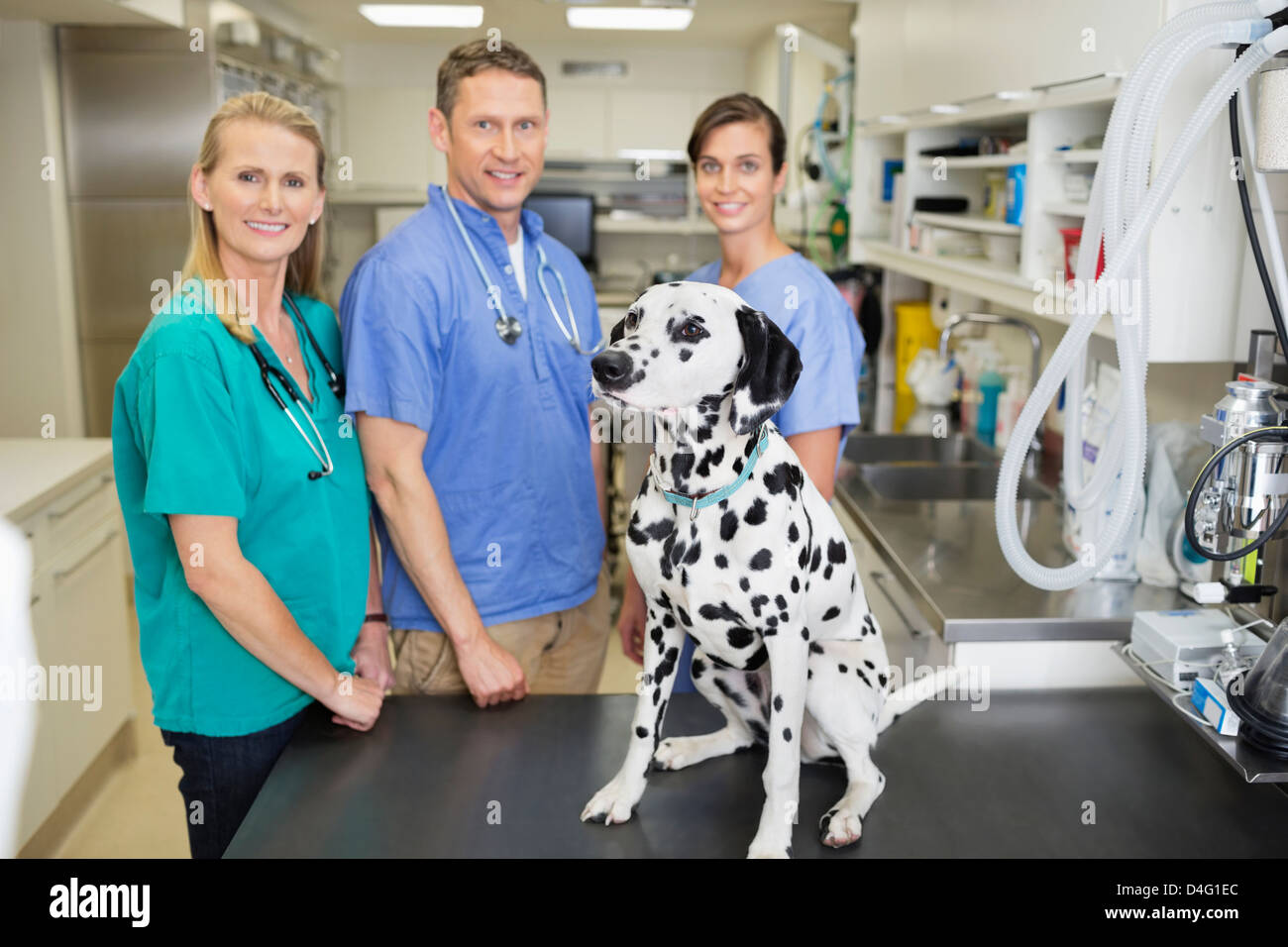 Veterinarians smiling with dog in vet's surgery Stock Photo - Alamy