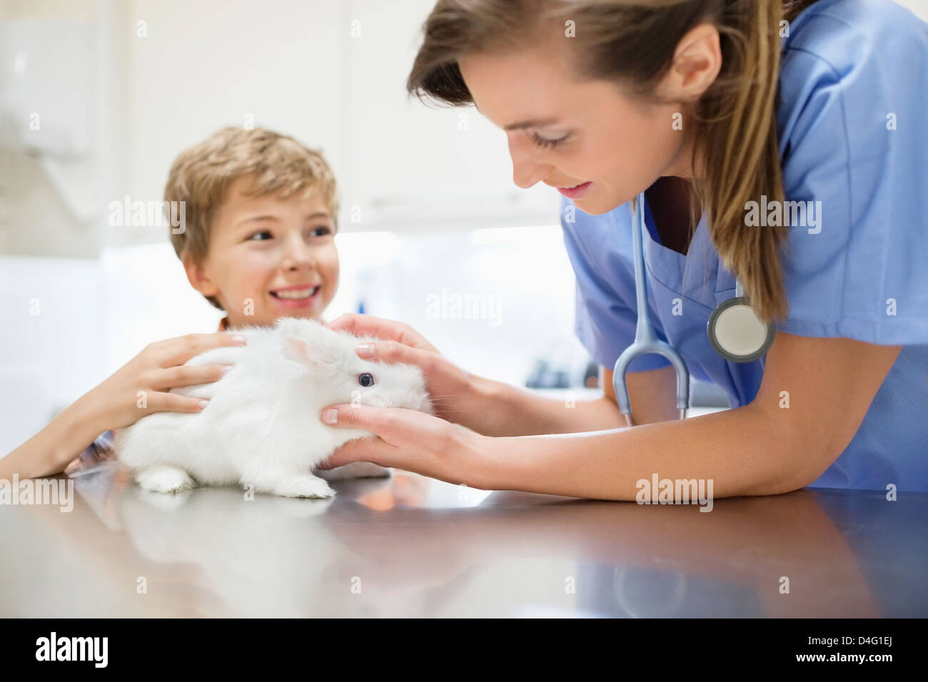 Vet examining rabbit with boy Stock Photo - Alamy