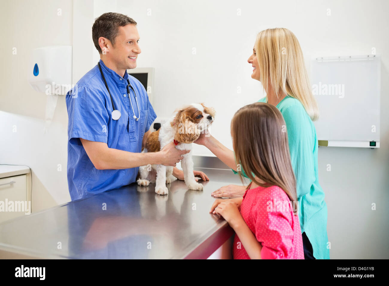 Veterinarian and owners examining dog in vet's surgery Stock Photo - Alamy