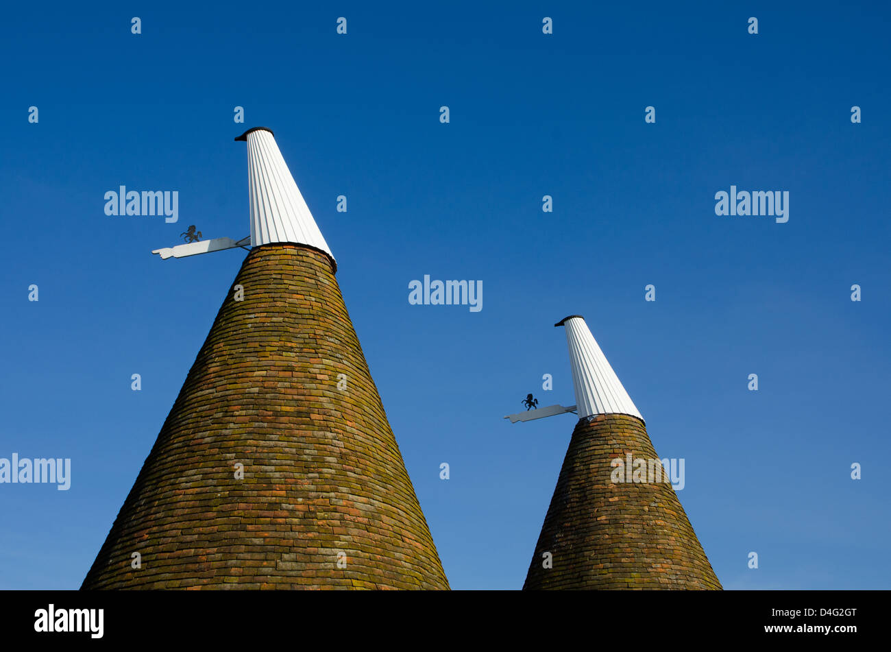 Kent oast house roof tops with Invicta symbol on the sail Stock Photo ...