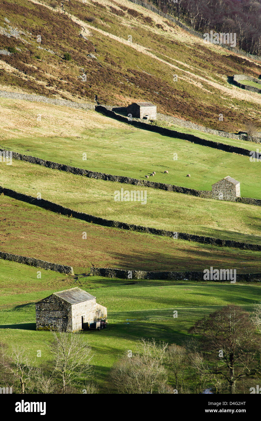 Dales barns hi-res stock photography and images - Alamy