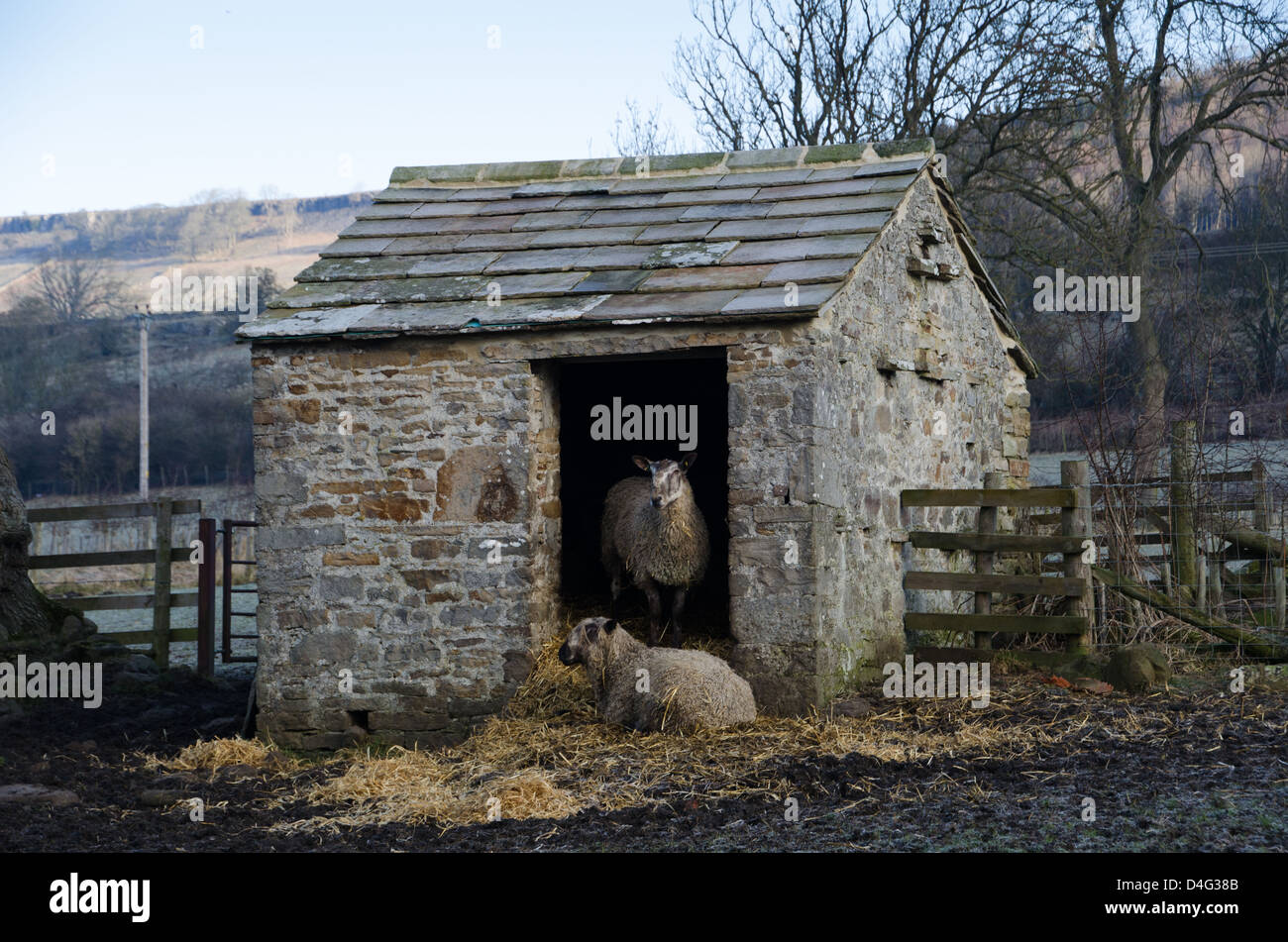 Small stone barn in yorkshire hi-res stock photography and images - Alamy