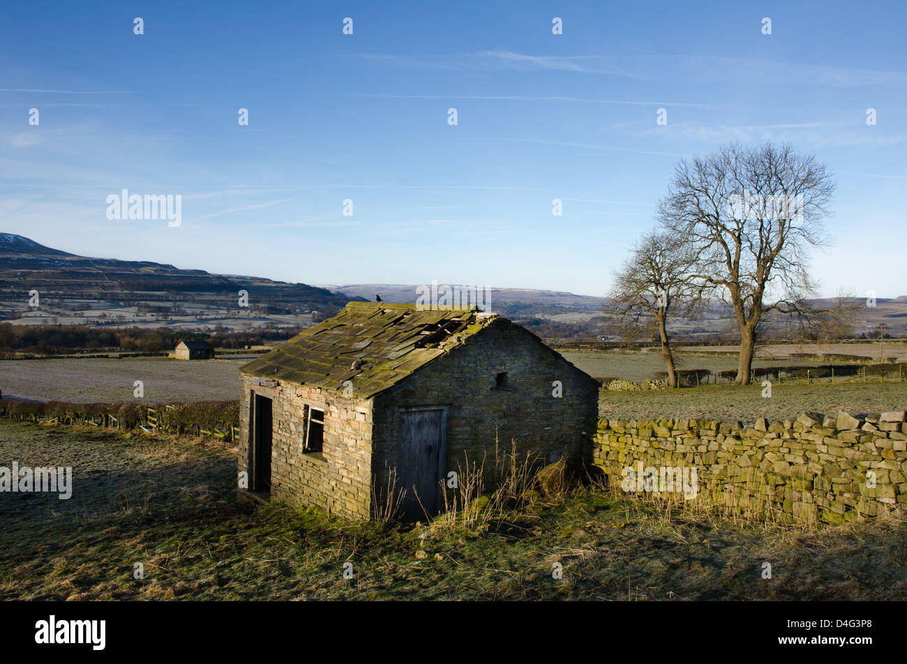 A small stone barn in Wensleydale. UK Stock Photo - Alamy