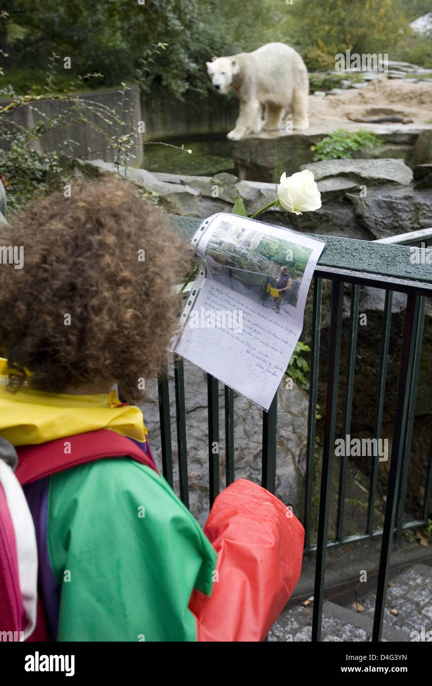 A white rose and a letter informing of the death of Thomas Doerflein ...
