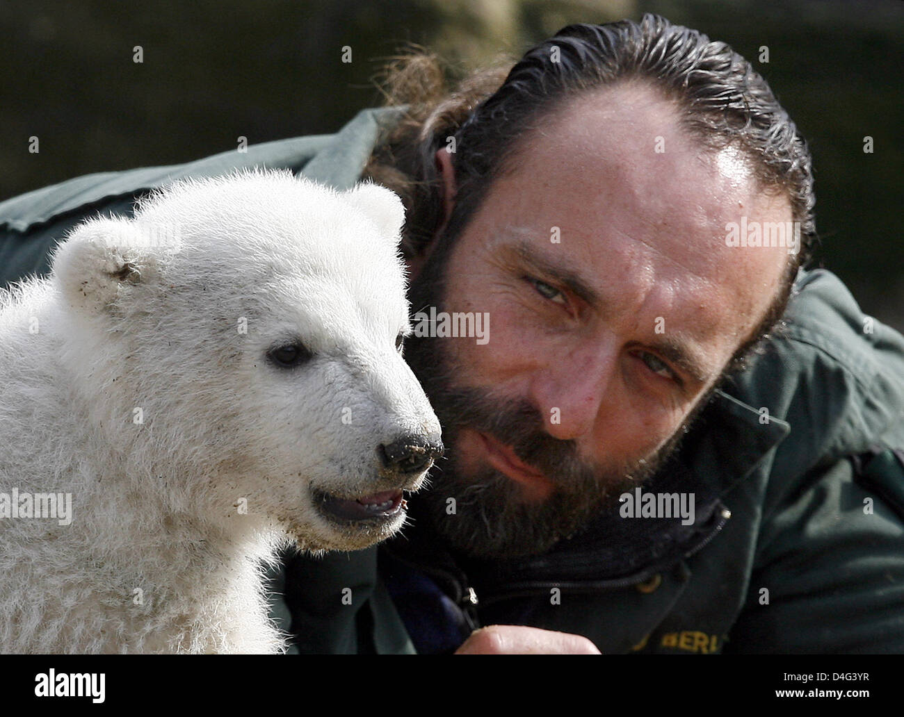(dpa file) - Polar bear Knut and its foster father Thomas Doerflein are ...