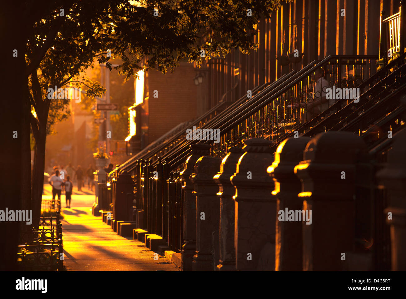 BROWNSTONE ROW HOUSES ONE HUNDRED AND TWENTY SIXTH STREET HARLEM ...
