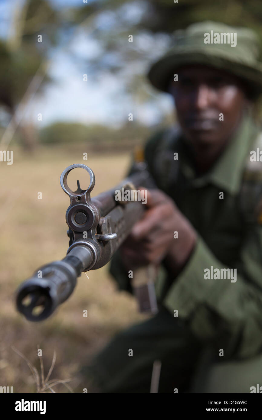 Poach Rhino Horn High Resolution Stock Photography and Images - Alamy