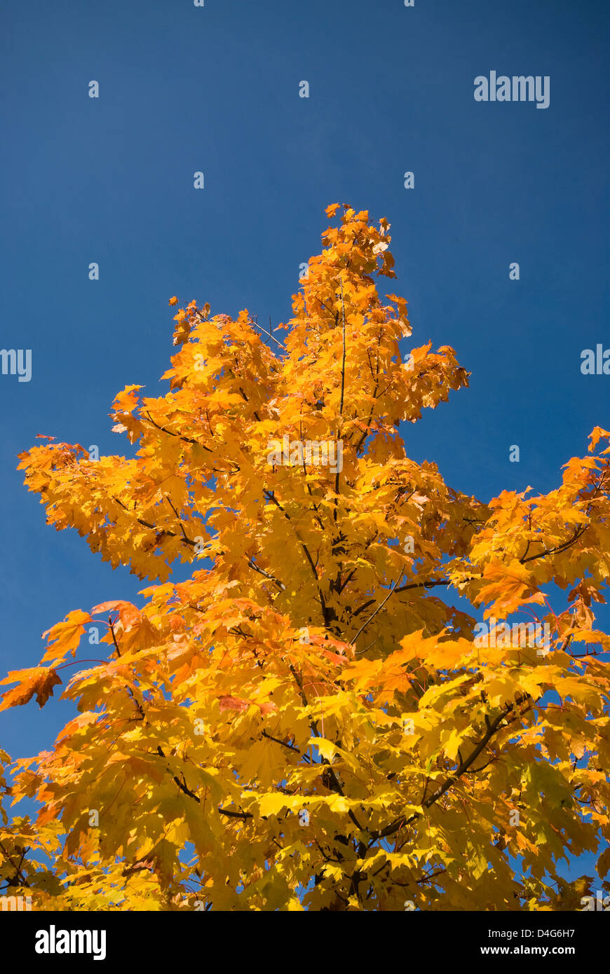 Fall is coming hi-res stock photography and images - Alamy