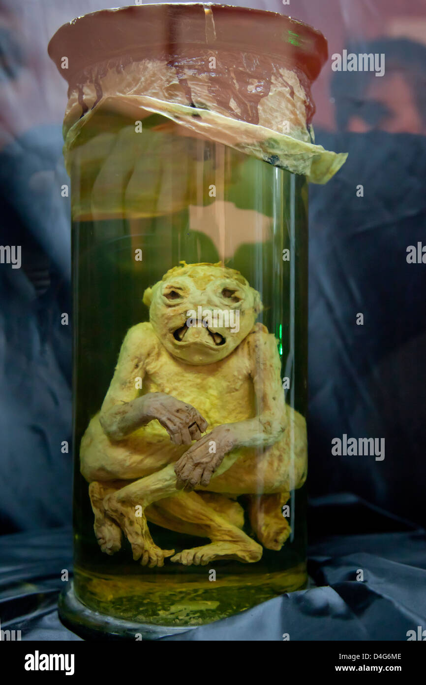 Real Mutated Humans
