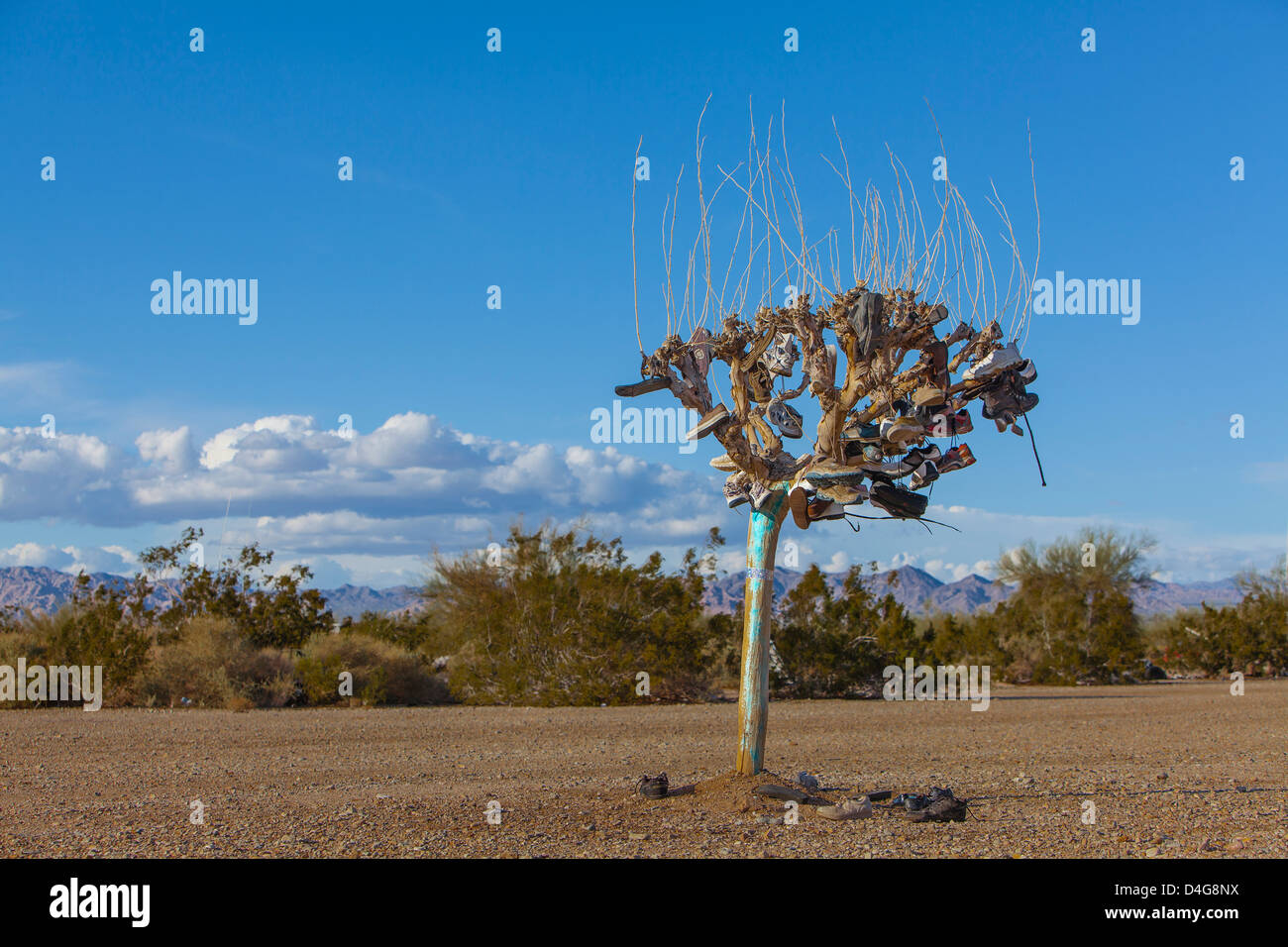 Old shoes that hang from a leafless tree in the Mojave Desert ...