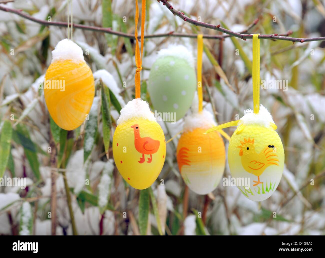 Snow covers a set of Easter eggs hanging from the branches of a shrub ...
