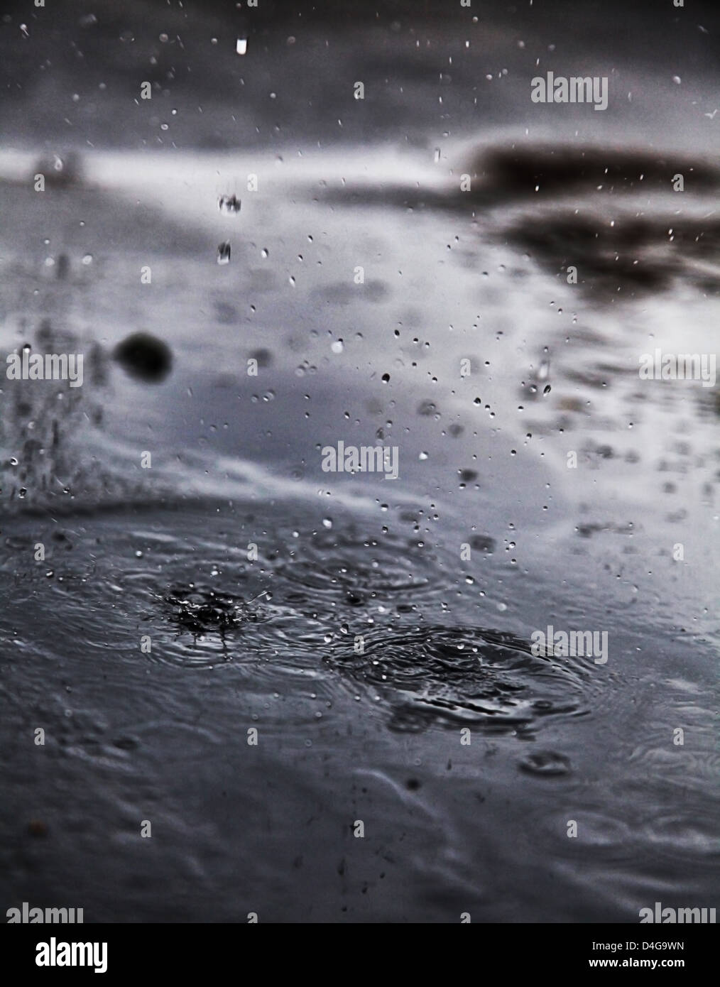 rain drops and ripples in a summer puddle during a storm Stock Photo ...