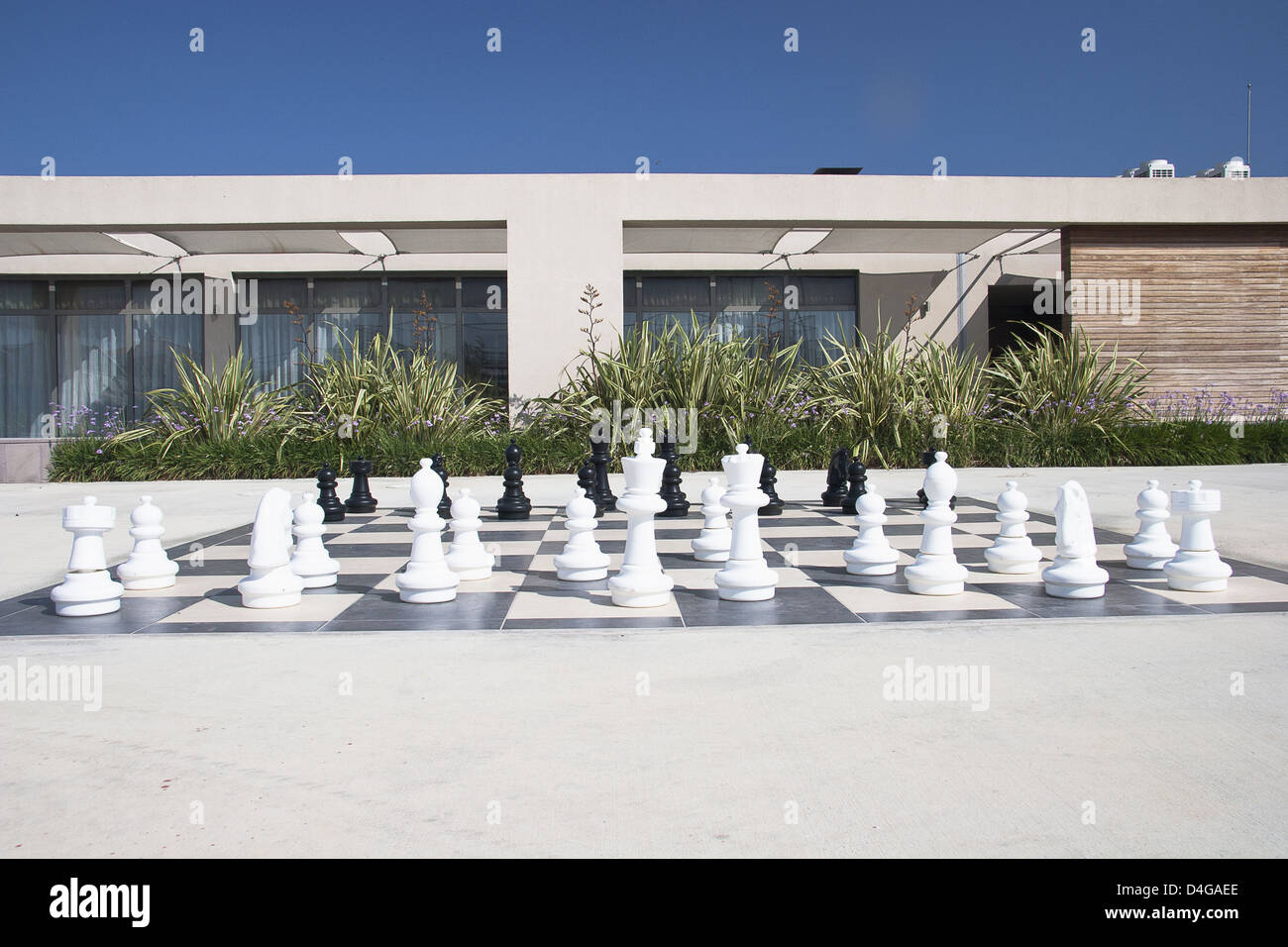 Chess knight icon in hi-res stock photography and images - Alamy