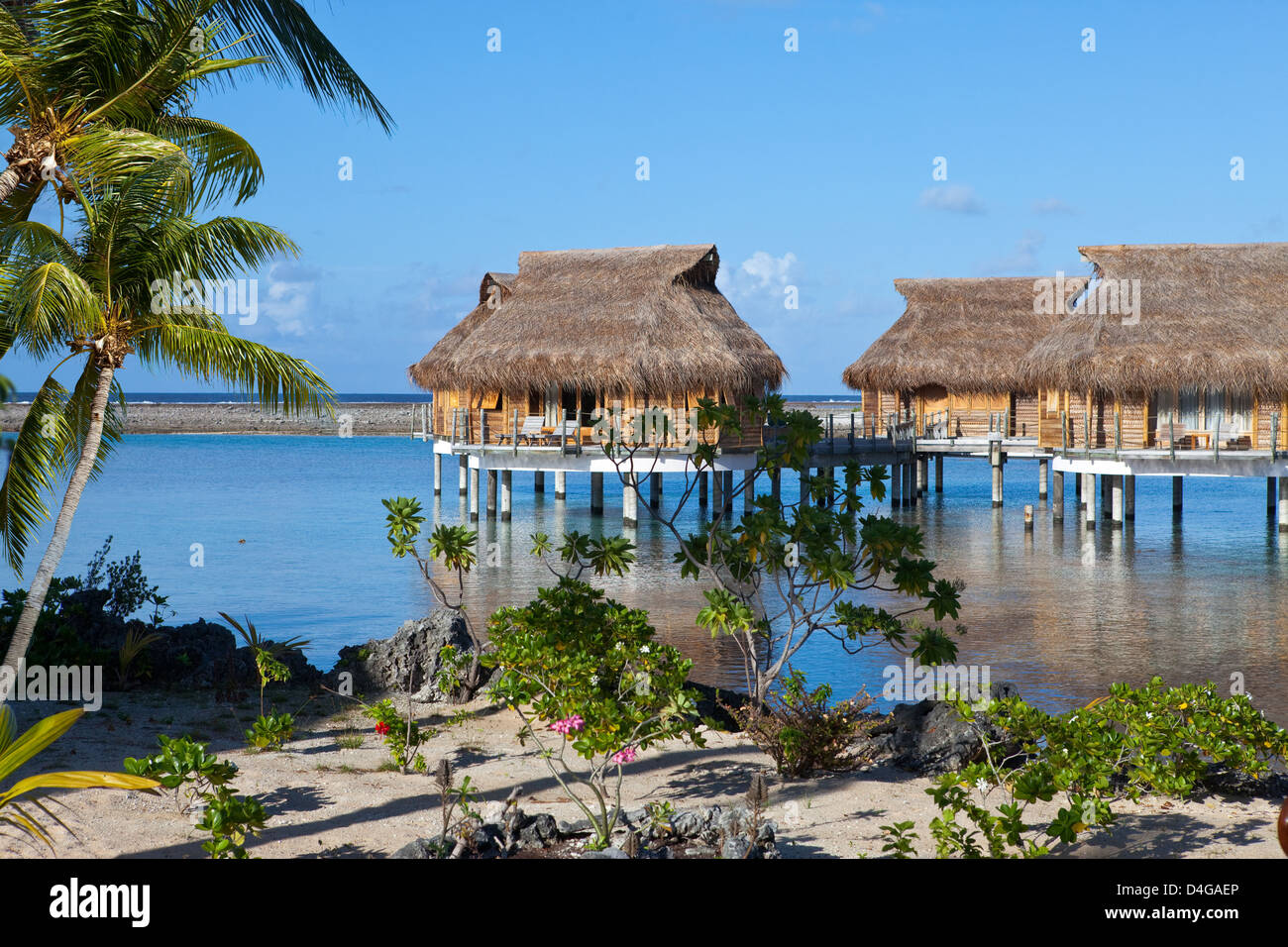 seacoast with palm trees and small houses on water Stock Photo - Alamy