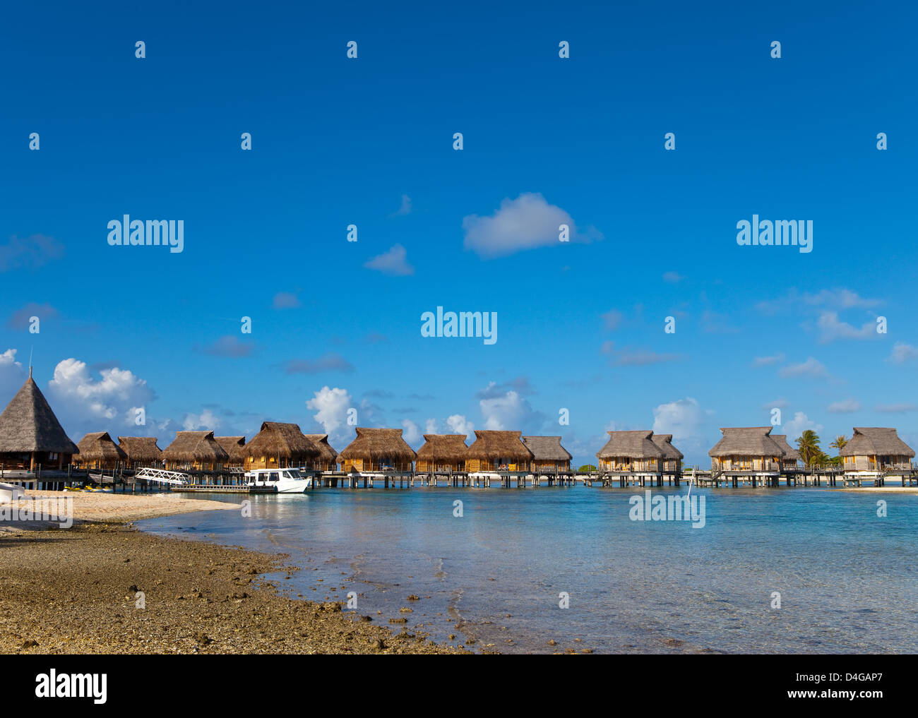 seacoast with palm trees and small houses on water Stock Photo - Alamy