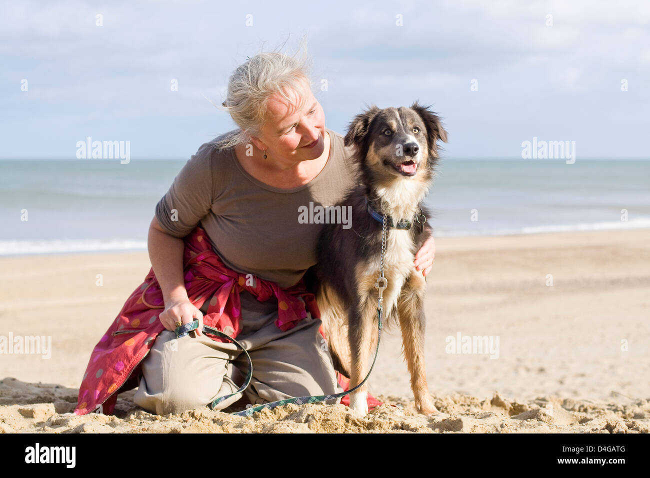 Middle aged dog hi-res stock photography and images - Alamy