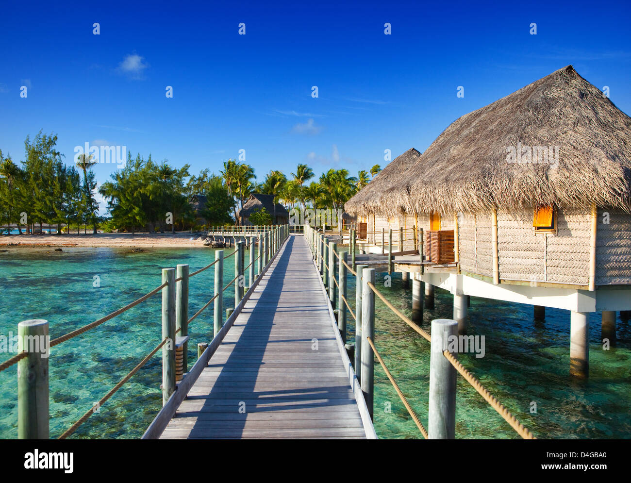 seacoast with palm trees and small houses on water Stock Photo - Alamy