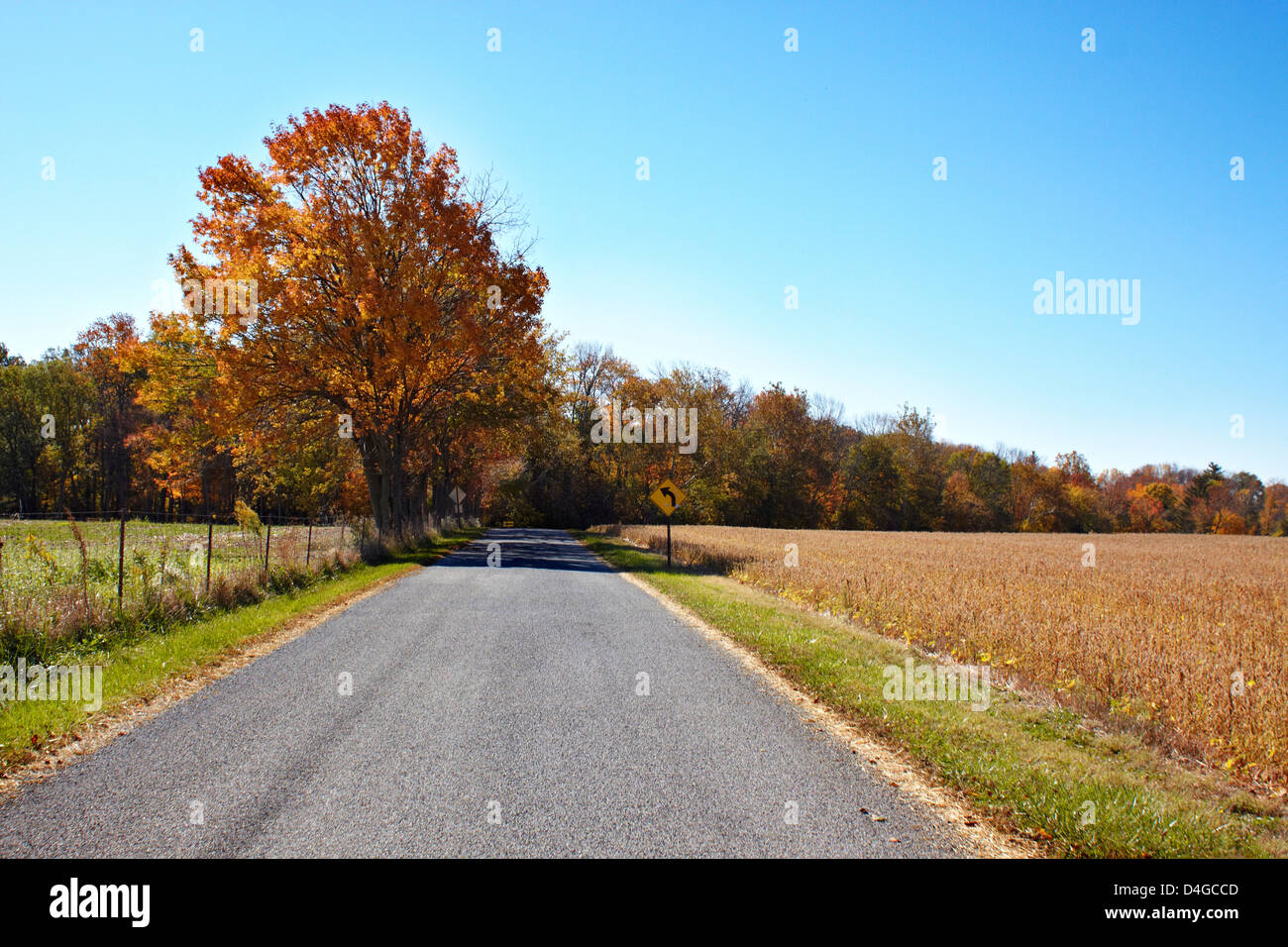 Rural country farm hi-res stock photography and images - Alamy