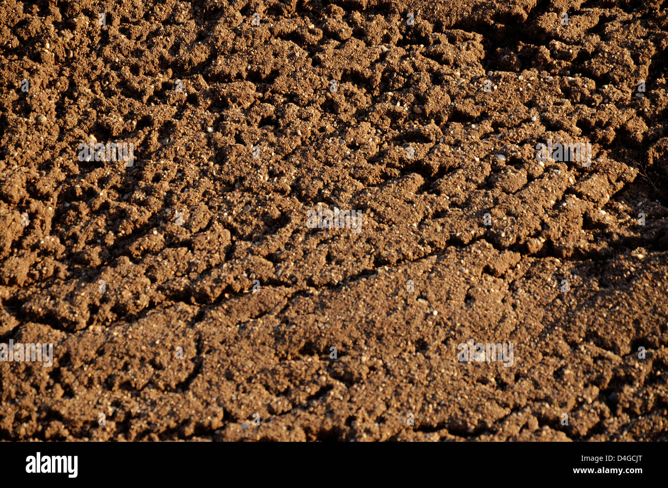 soil texture Stock Photo - Alamy