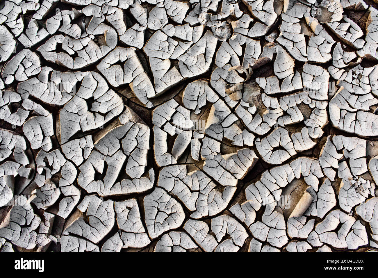 Dried mud pattern hi-res stock photography and images - Alamy