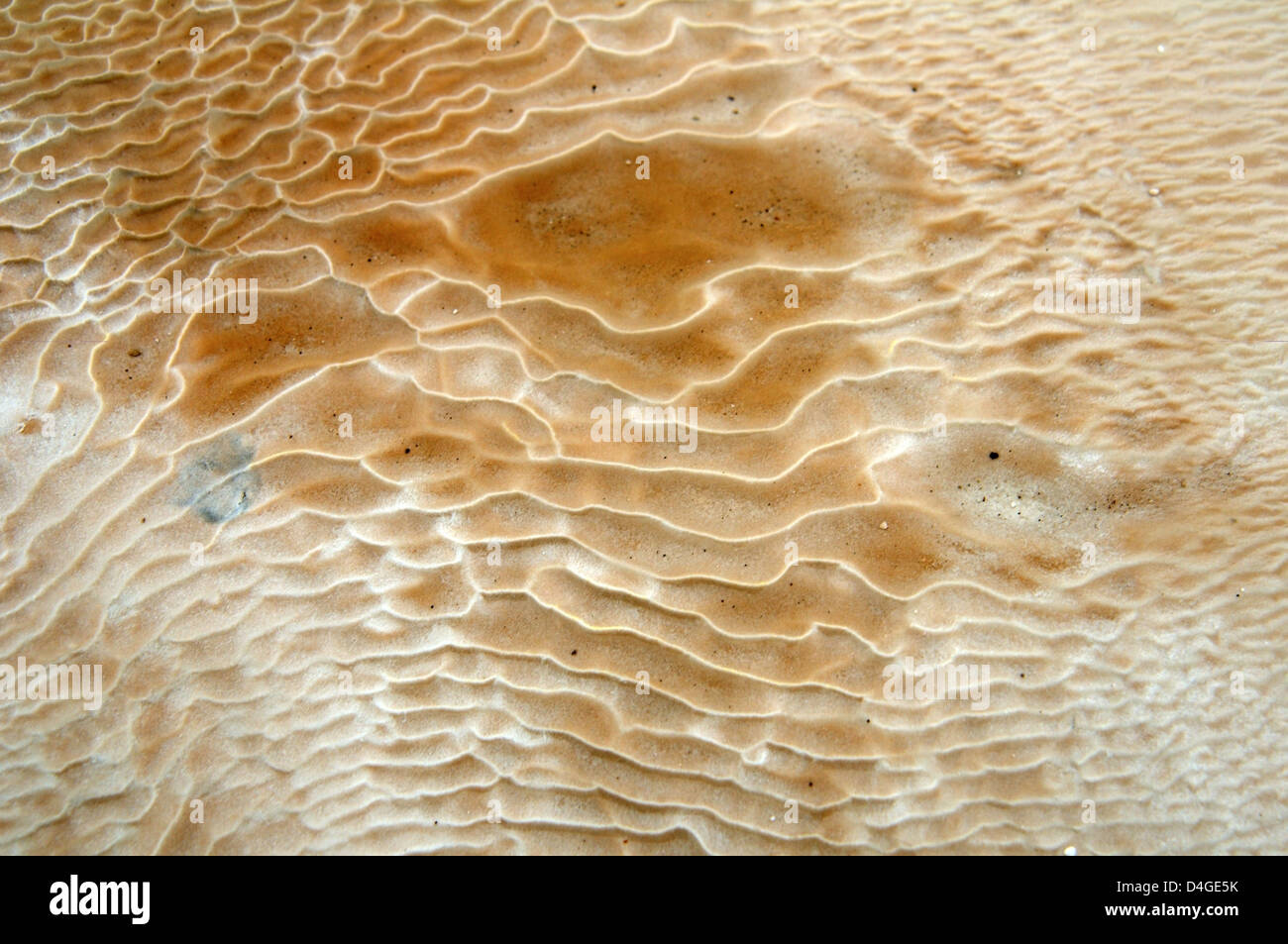 Travertine terrace formations, Pamukkale, Turkey, Western Asia Stock ...