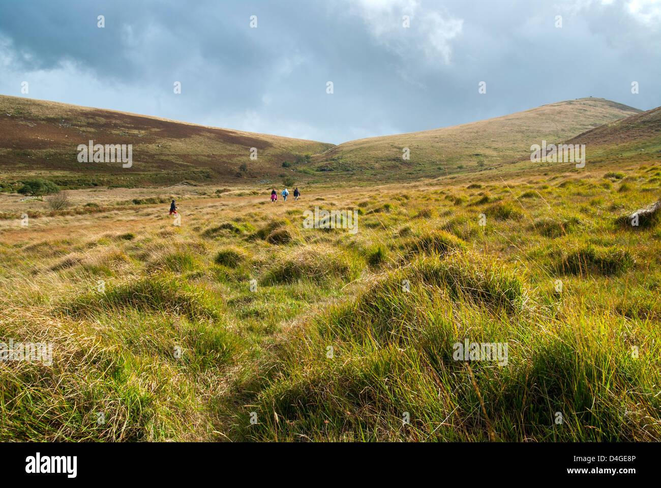 Belstone Common. Dartmoor National Park Stock Photo - Alamy