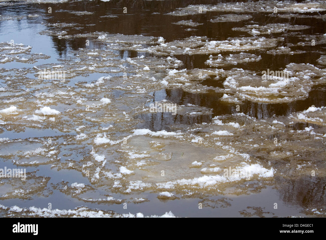 ice floes float down the river in the winter Stock Photo - Alamy