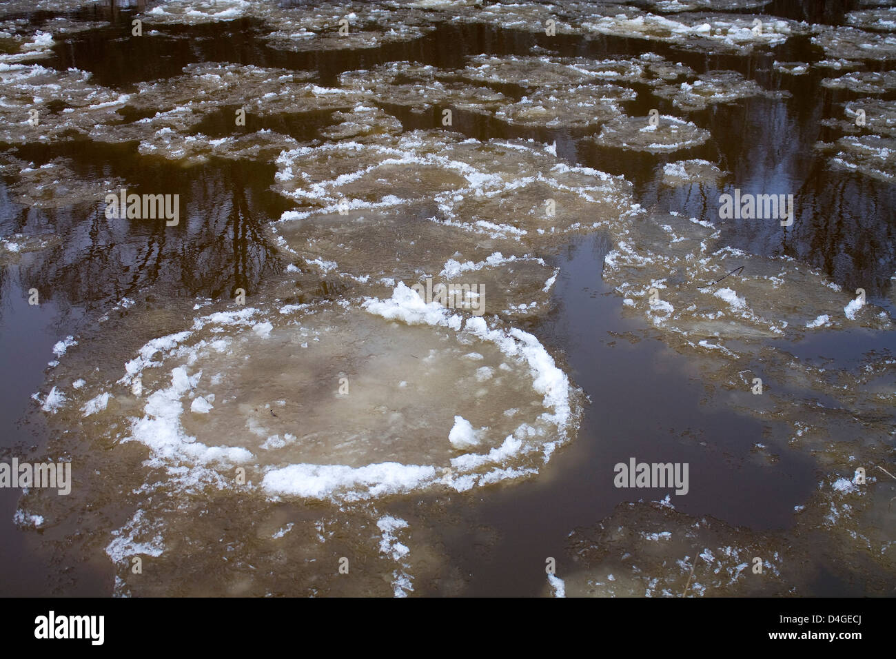 ice floes float down the river in the winter Stock Photo - Alamy