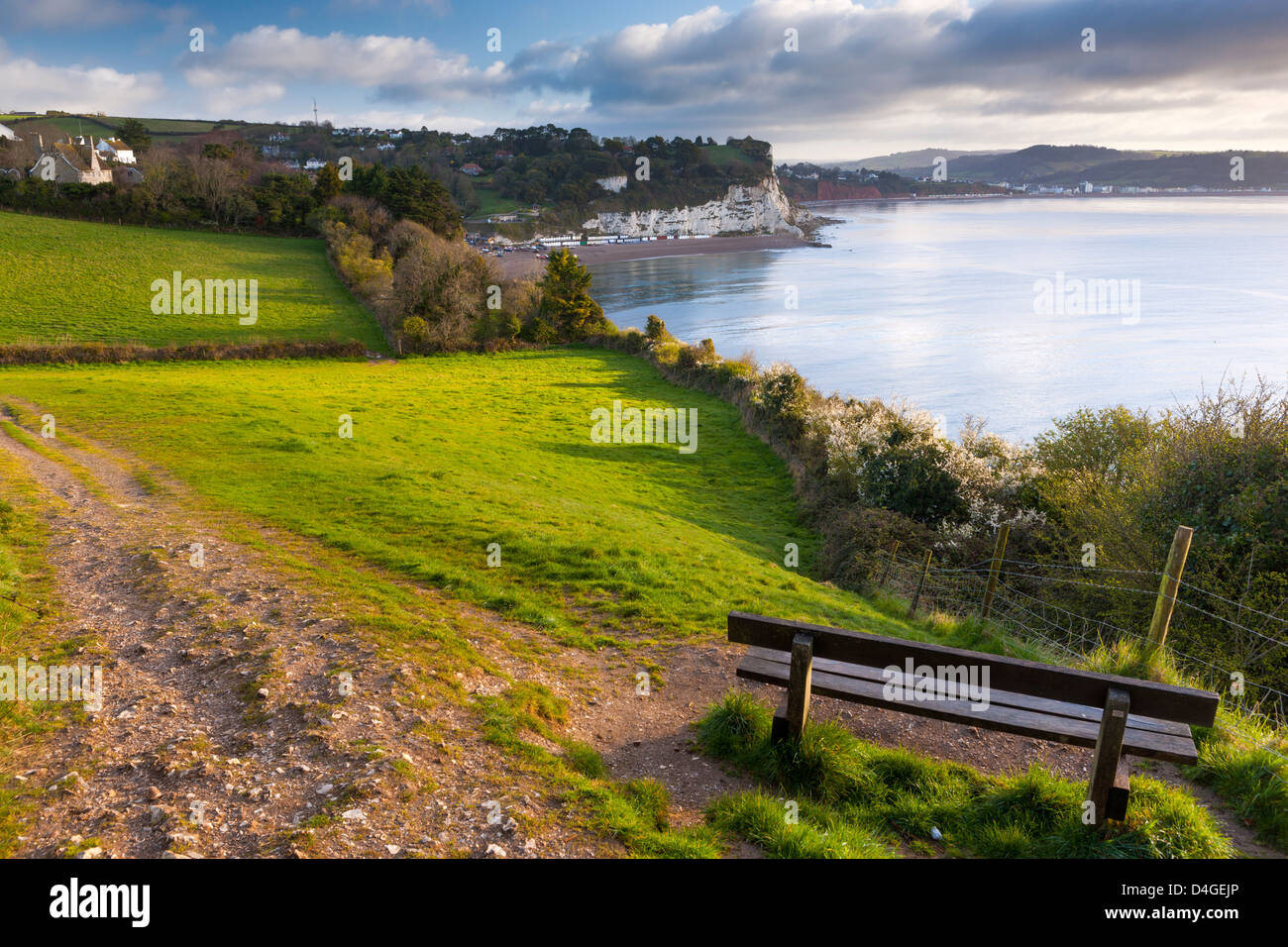Beer devon coast path hi-res stock photography and images - Alamy