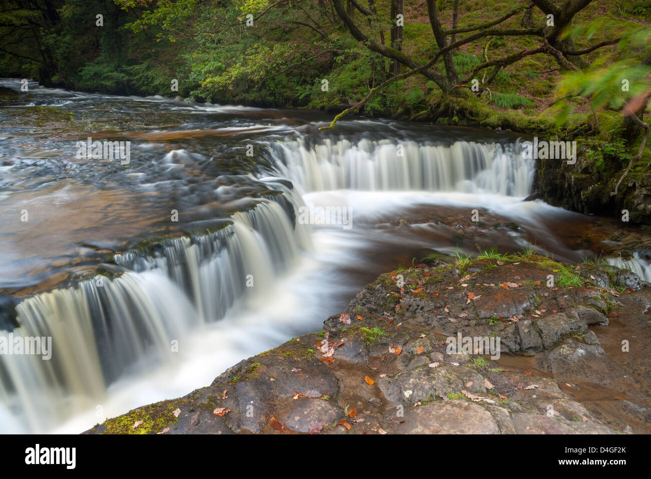 The Nedd Fechan River at Horseshoe Falls, Brecon Beacons National Park ...