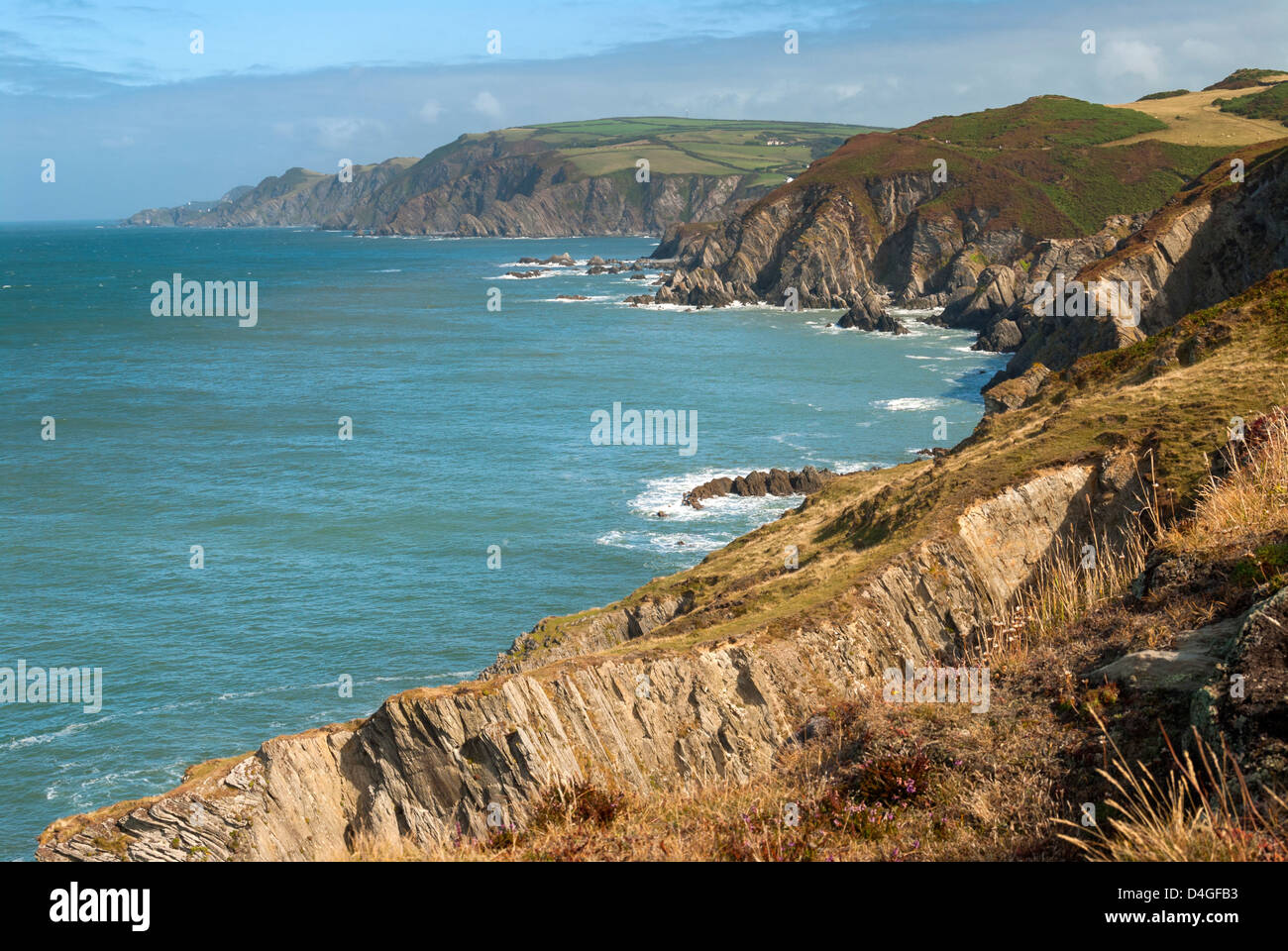 Bull point hi-res stock photography and images - Alamy