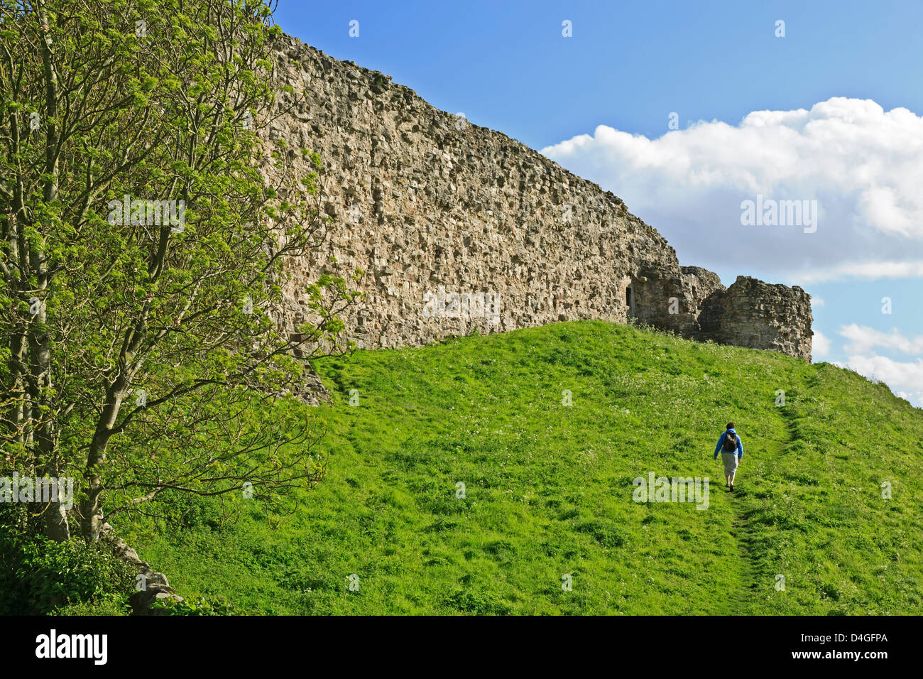 Berwick castle and ramparts hi-res stock photography and images - Alamy