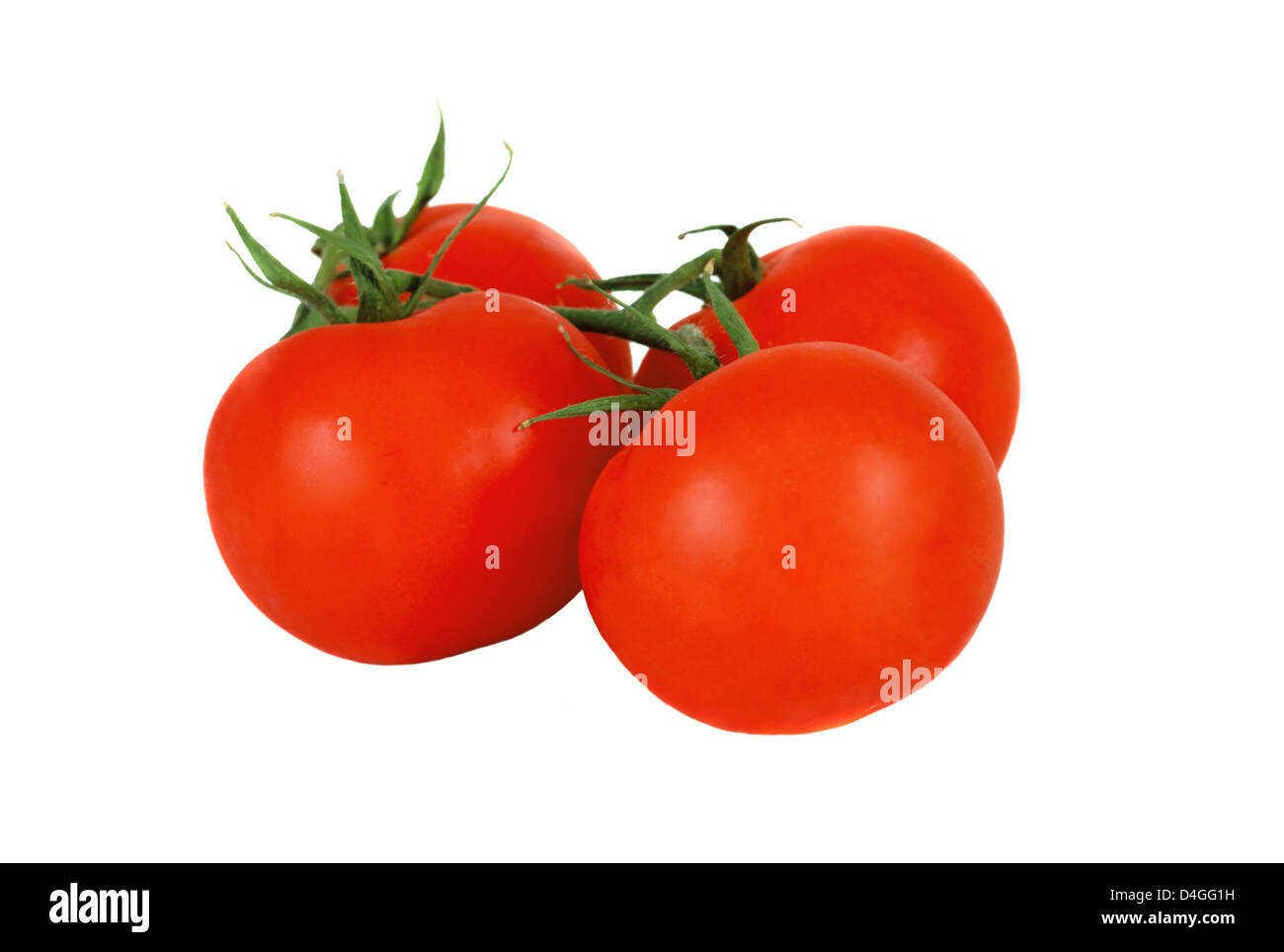 Four red tomato on white background Stock Photo - Alamy
