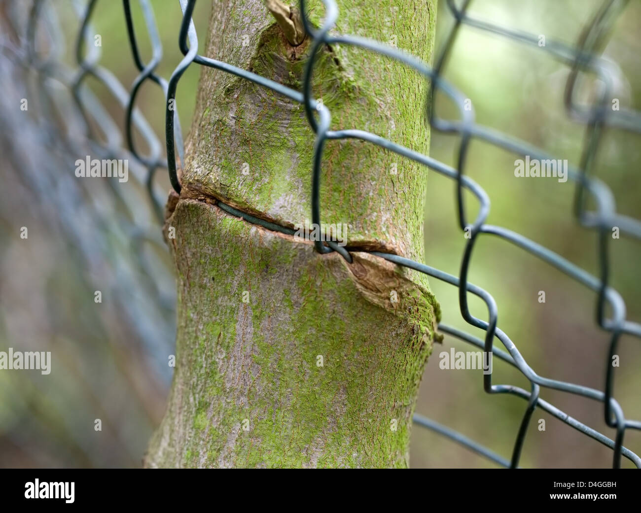 Irregular fence hi-res stock photography and images - Alamy