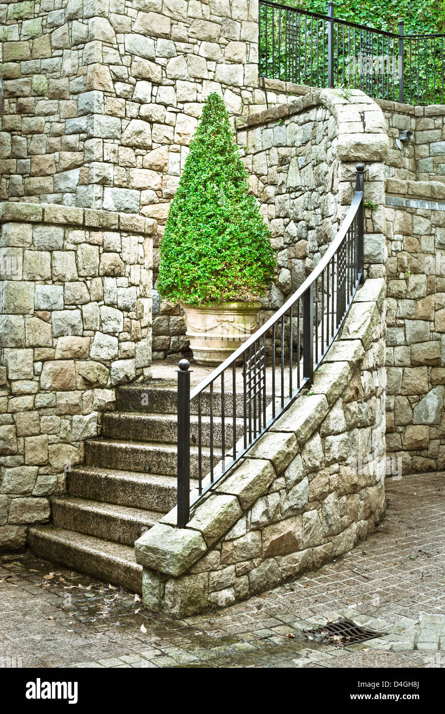 A topiary plant at the top of stone steps Stock Photo - Alamy