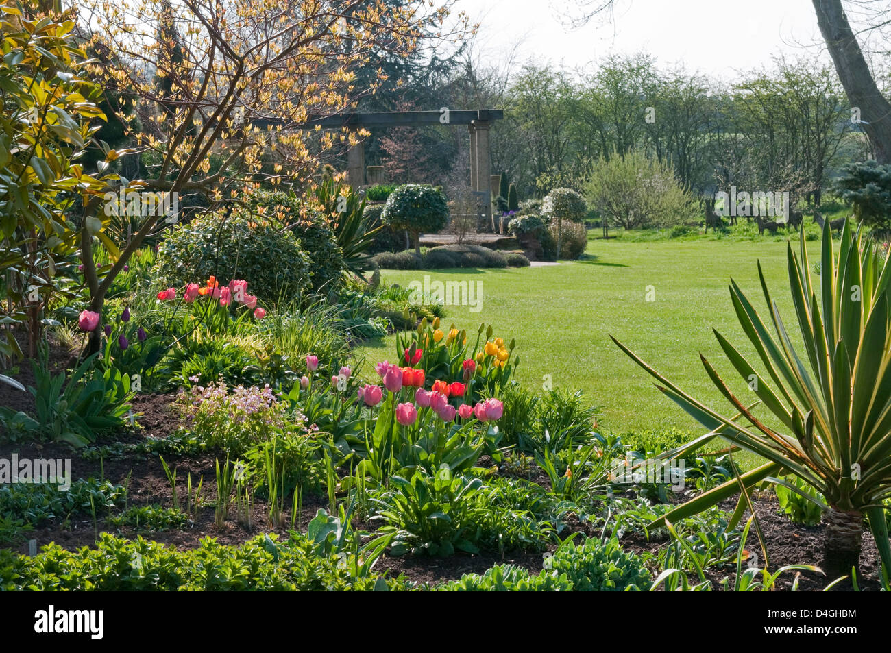 Ashwood nurseries hi-res stock photography and images - Alamy Ashwood nurseries hi-res stock photography and images - Alamy