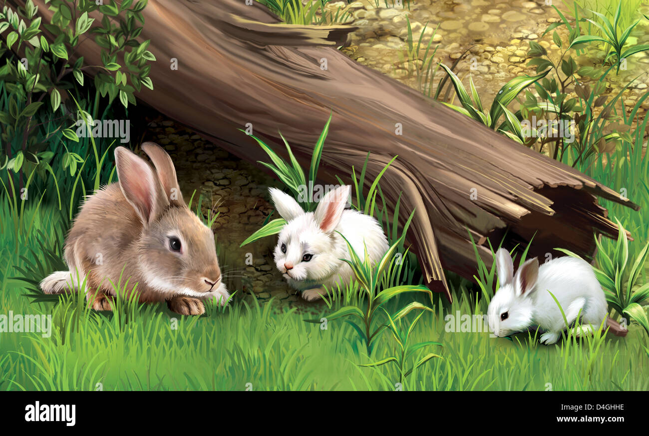 Rabbits on a grass Stock Photo - Alamy