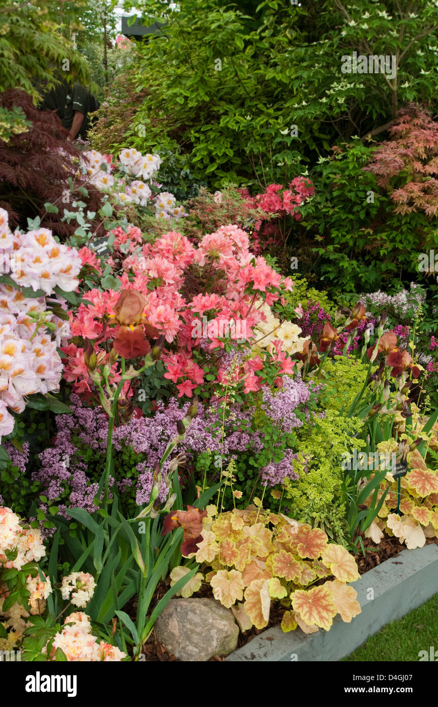Spring Border with Rhododendrons, Syringa, and perennials (Iris ...