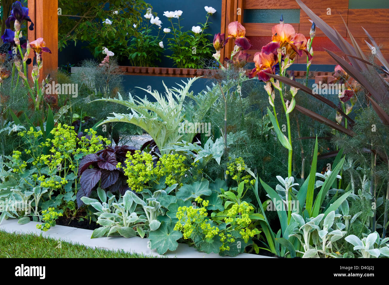 Mixed Border with Phormium; stachys; alchemill; cardoon; perilla ...
