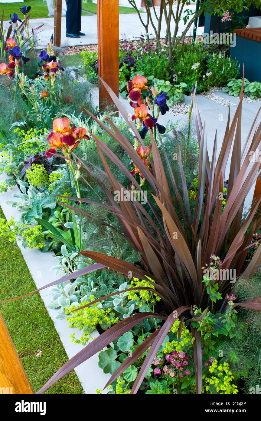 Mixed Border with Iris, Cardoon; Alchemilla, fennel. Astrantia ...