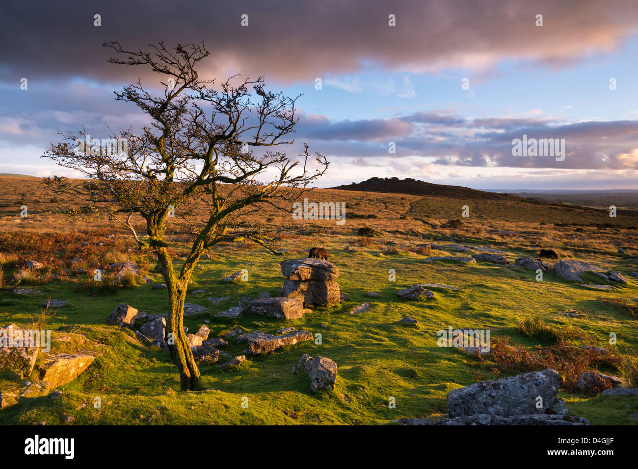 Pew tor dartmoor hi-res stock photography and images - Alamy