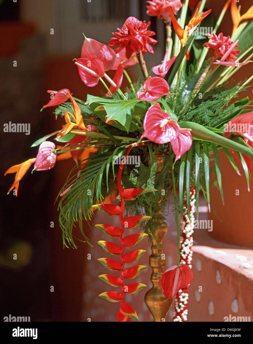 Tropical flower display, Phra Nakhon District, Bangkok, Thailand Stock ...