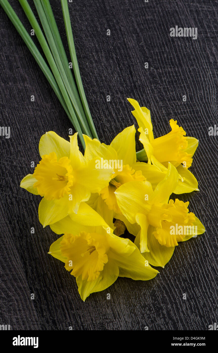 Yellow jonquil flowers on dark wooden background Stock Photo - Alamy