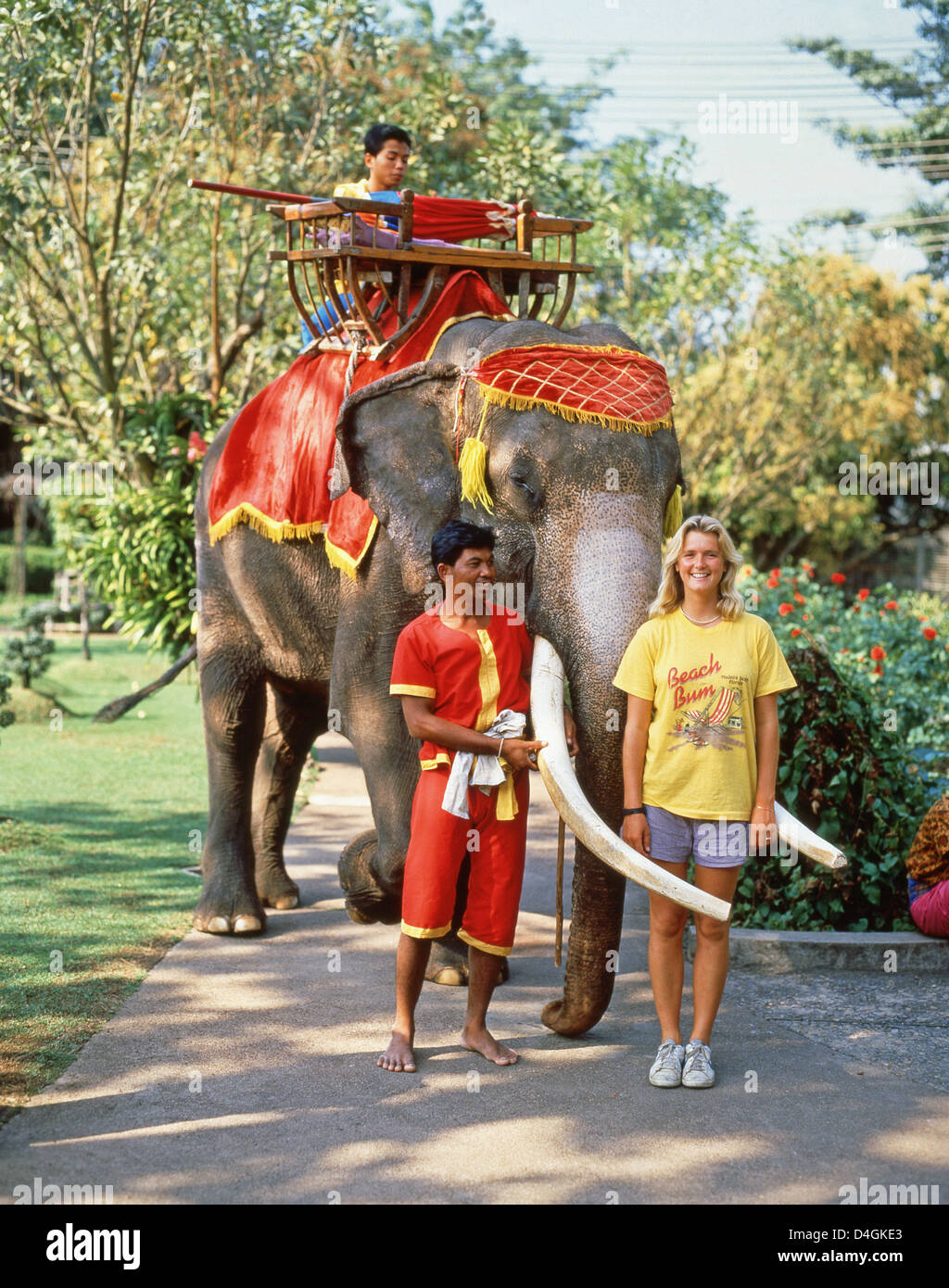 Thailand elephant show tourists rose hi-res stock photography and ...