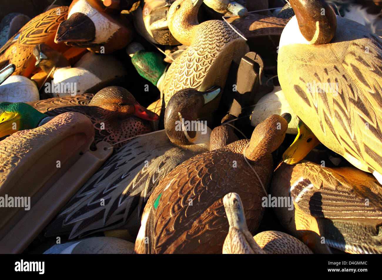 Plastic decoys hi-res stock photography and images - Alamy