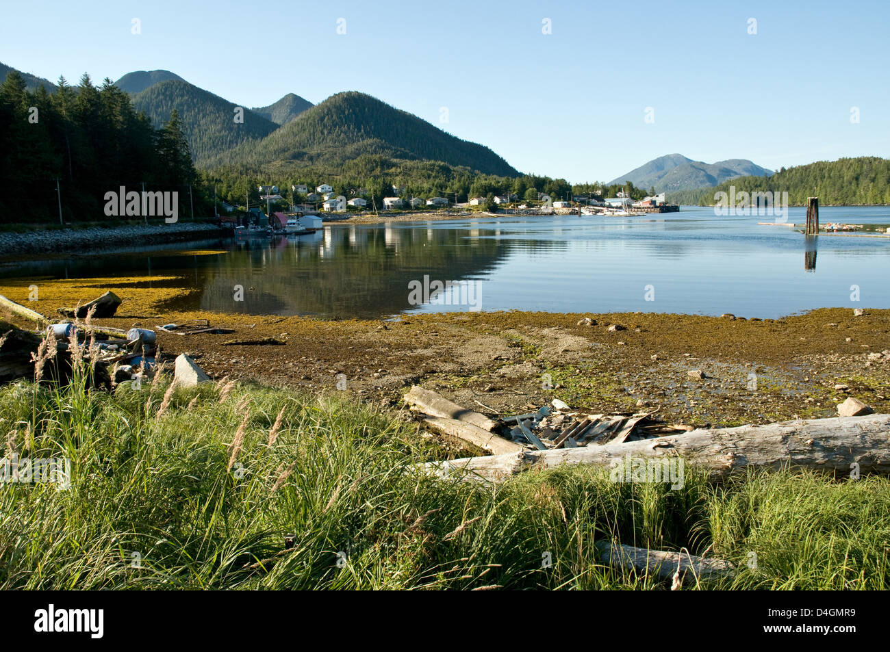 The Tsimshian indigenous village of Klemtu on Swindle Island, Great ...