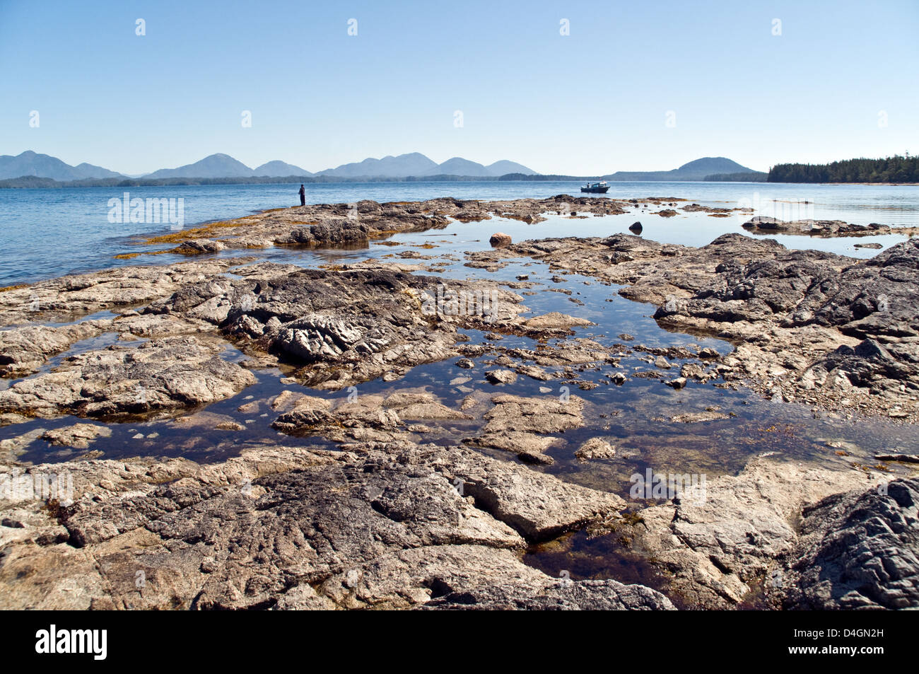 A Tsimshian native man fishing on the rocky shoreline on the west coast ...