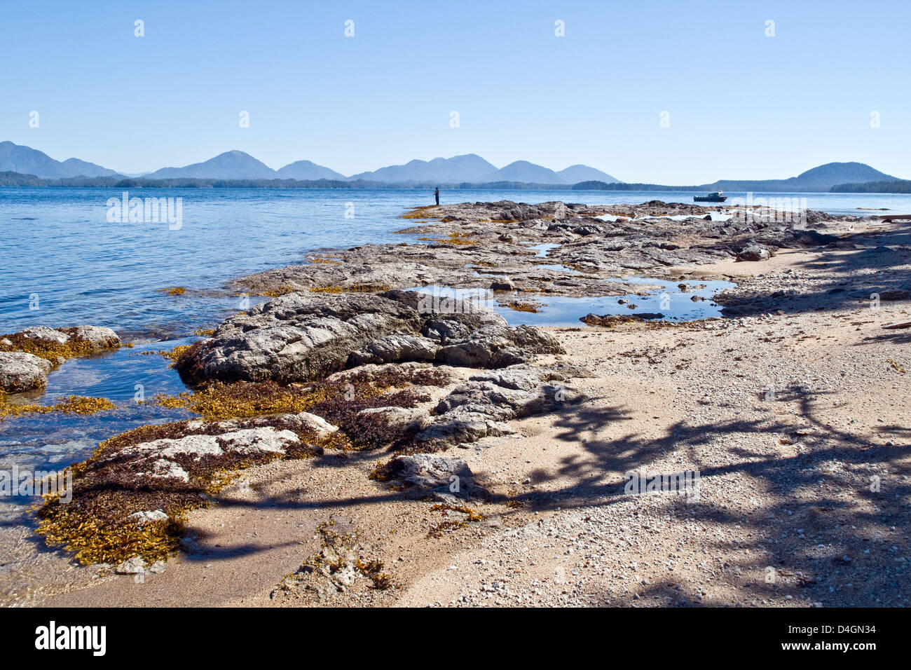 A Tsimshian native man fishing on the rocky shoreline on the west coast ...