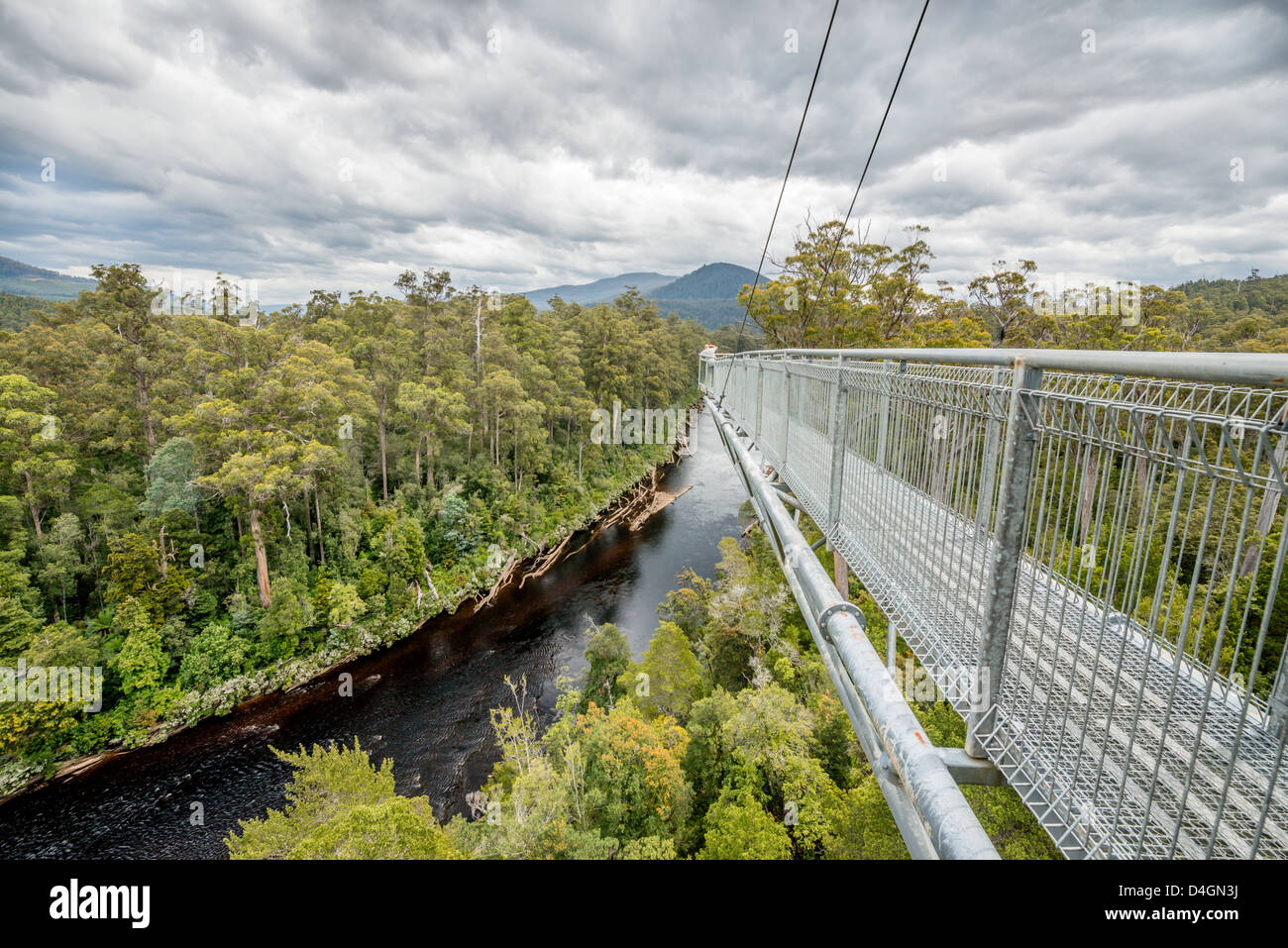 A bird's eye view of the spectacular Huon river and forest from the ...